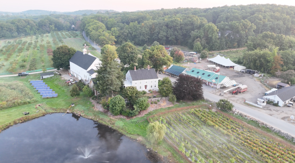 Creative Short Video Storytelling - North Shore Digital Services